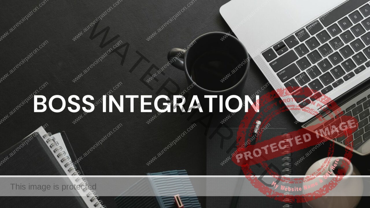Programme 1 : BOSS INTÉGRATION - AUREVOIRPatron